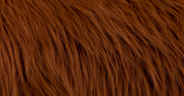 Brown Bear Luxury Shag Faux Fur