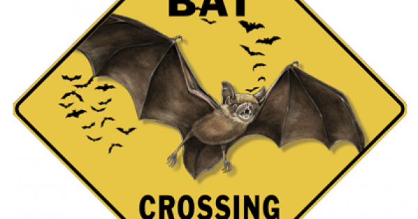 Bat Crossing Sign