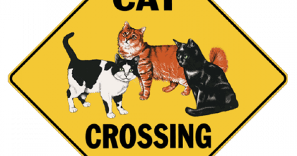 Cat Crossing Sign