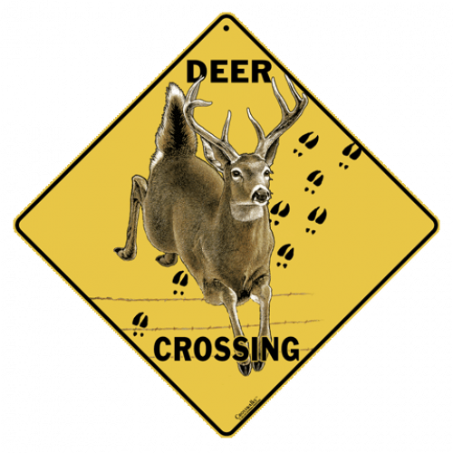 Fox Crossing Sign