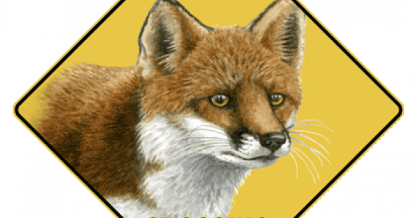 Fox Crossing Sign