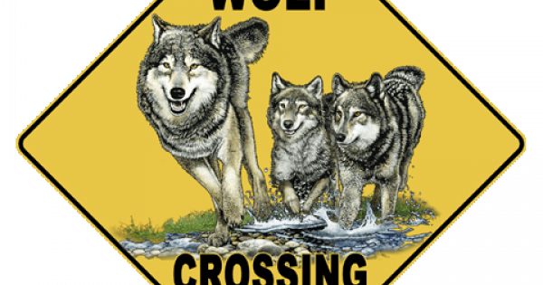 Wolf Crossing Sign