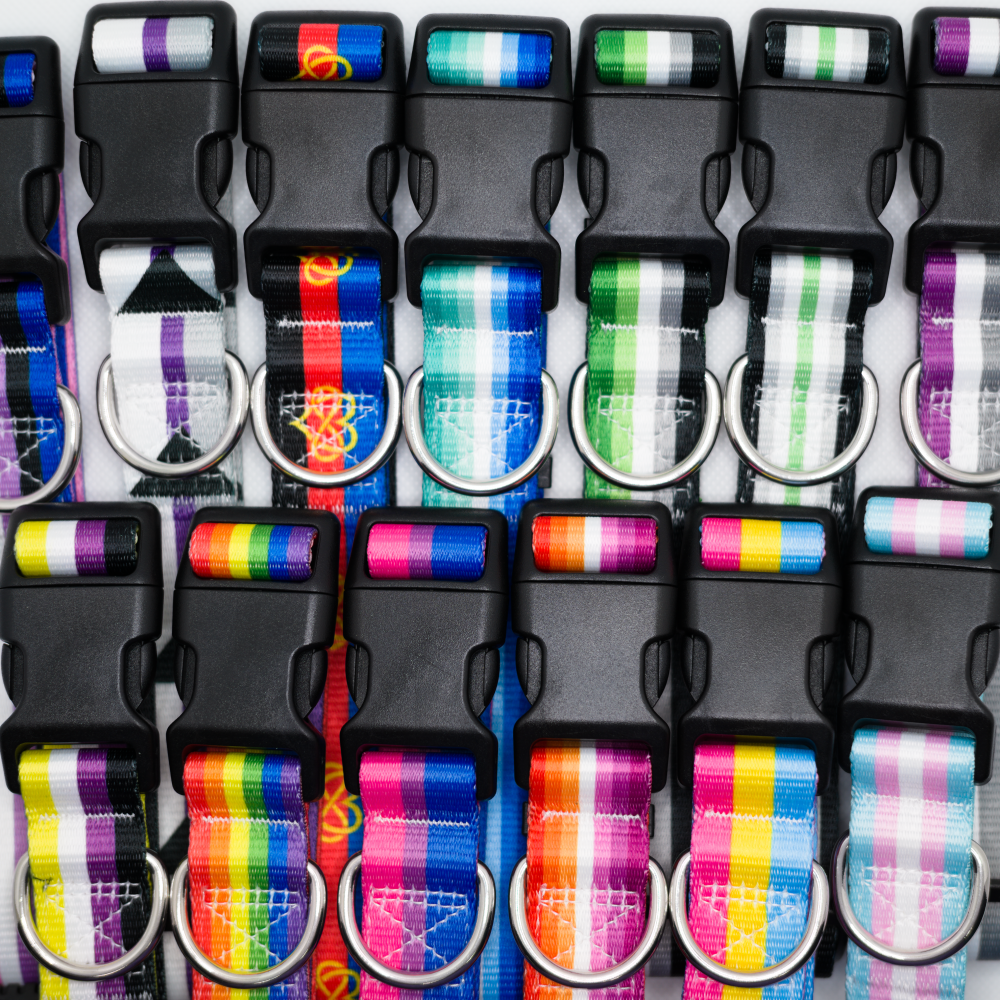 Pride Collar (Standard Sized) (13 Flags Available!)