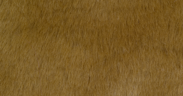 Caramel Beaver/Seal Fur