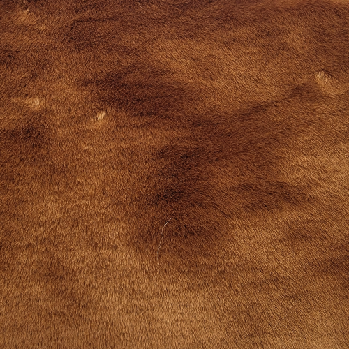 Short and Medium Pile Furs