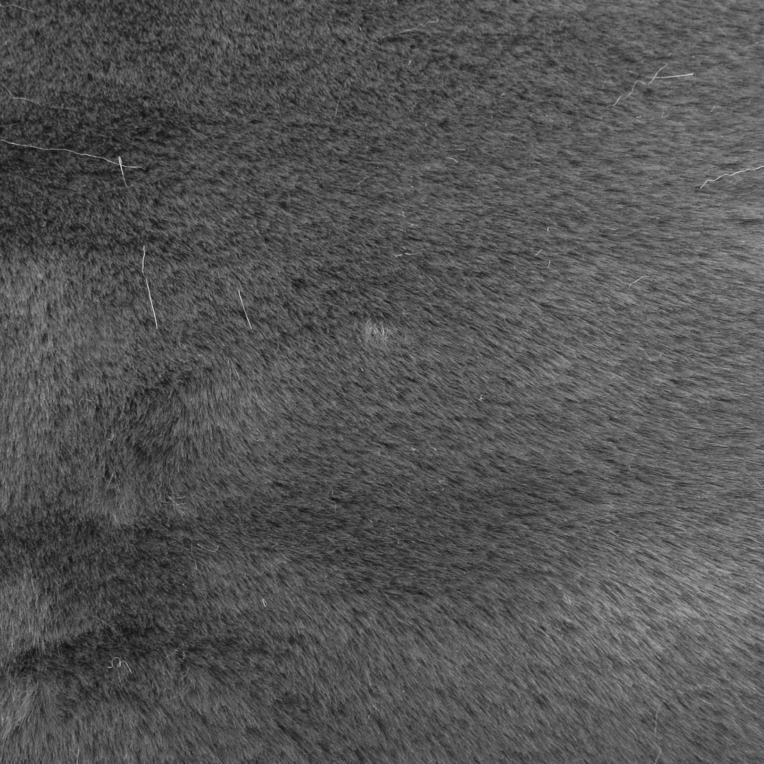 Gray Beaver/Seal Fur